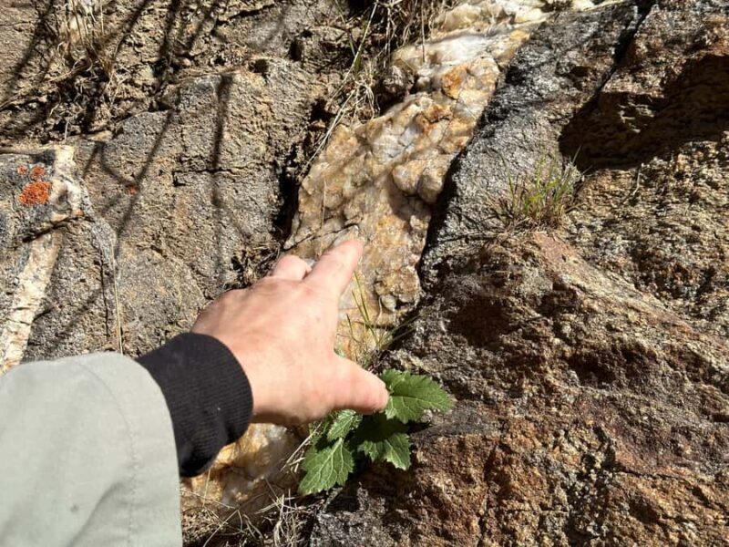 Kern County: Gold Panning Experience - FAQ