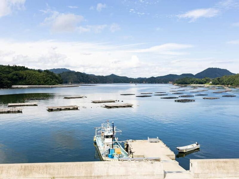 Kesennuma: Local Food & Sake Dinner Pairing Experience - Key Points