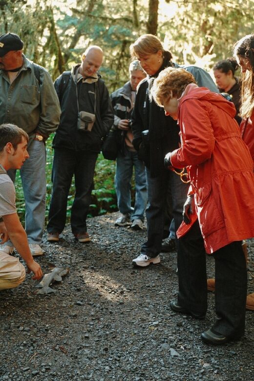 Ketchikan: Alaska Rainforest Sanctuary and Totem Park Walk - An In-depth Look at the Tour Experience