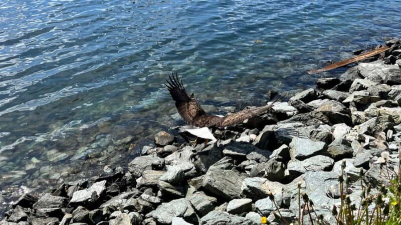 Ketchikan: City Tour, Saxman Village, & Salmon Tasting - What to Expect from the Tour