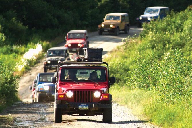 Ketchikan Jeep and Canoe Safari - The Itinerary: What You Can Expect
