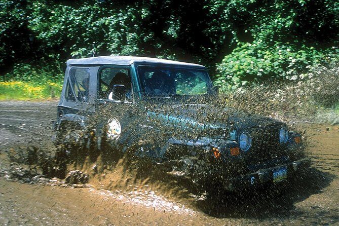 Ketchikan Jeep and Canoe Safari - Returning to Ketchikan
