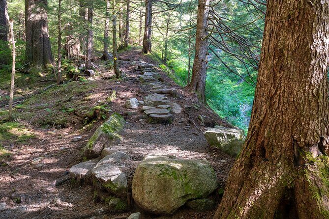 Ketchikan Mountain Lake Trek to Avalanche Chute - A Closer Look at the Tour Itinerary