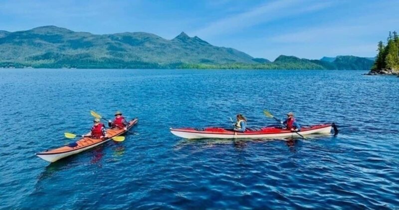 Ketchikan: Orca Cove Fast Boat and Sea Kayak Tour - A thorough look at the experience