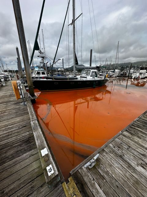 Ketchikan Photo Safari - FAQ