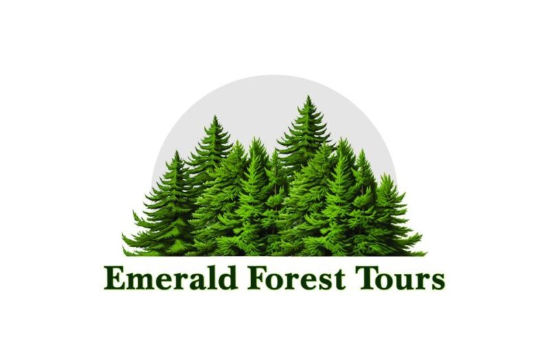 Ketchikan: Private Tour suitable for all ages! - A Detailed Look at What You Can Expect