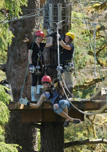Ketchikan: Rainforest Canopy & Zipline Adventure - Value and Cost Analysis