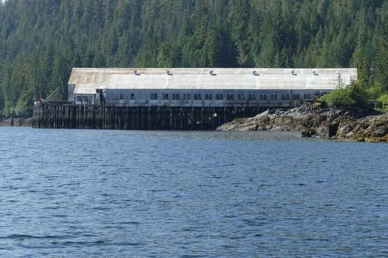 Ketchikan: Scenic Drive & George Inlet Fjords Zodiac Cruise - Who Is This Tour Best For?