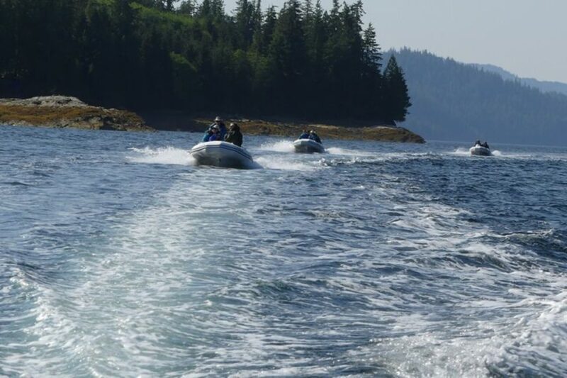 Ketchikan: Scenic Drive & George Inlet Fjords Zodiac Cruise - Who This Tour Suits Best