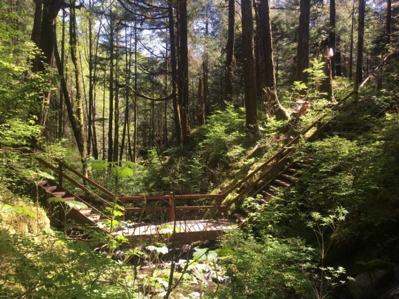 Ketchikan: Tongass Forest Alaska Bigfoot ATV Ride and Hike - Whats Included and What to Expect