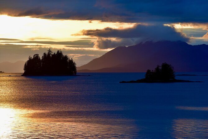 Ketchikan Ultimate Whale Watching, Wildlife, & Wilderness Dining - Why This Tour Is a Top Choice for Travelers