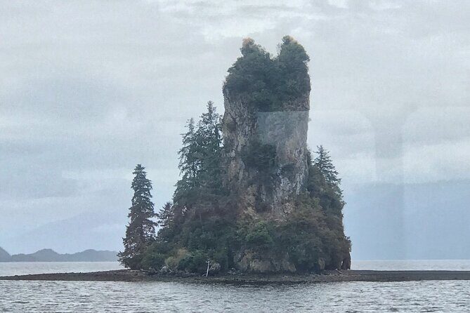Ketchikan Whale Watching and Nature Tour - Practical Details & Considerations