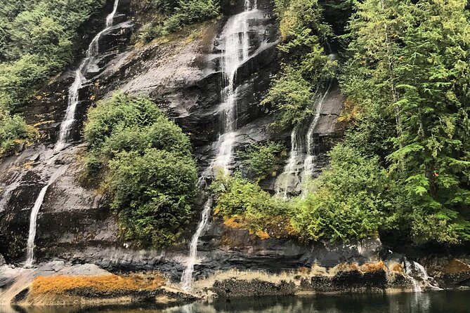 Ketchikan Whale Watching and Nature Tour - Frequently Asked Questions