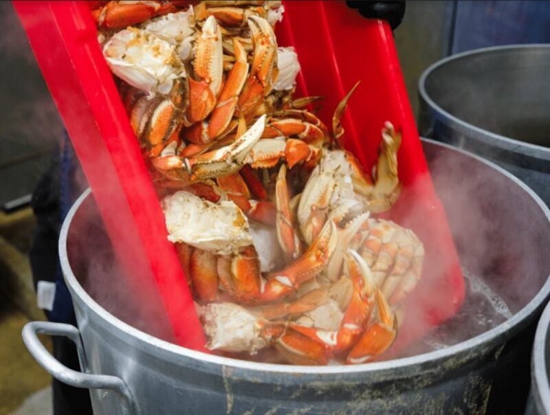 Ketchikan: Wilderness Boat Cruise and Crab Feast Lunch - Why This Tour Works Well