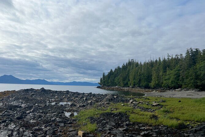 Ketchikan's Favorite Cultural and Historical Sites - Fifth Stop: Herring Cove – Eagles & Bears