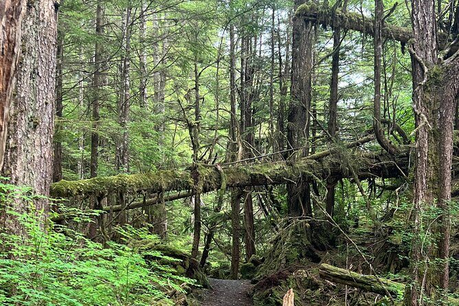 Ketchikan's Favorite Cultural and Historical Sites - Tour End: Returning to the Starting Point