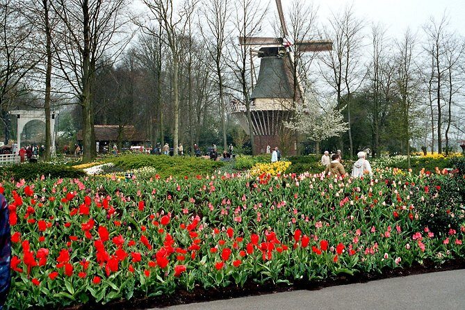 Keukenhof and Flower Fields Private Tour from Amsterdam - What to Expect and Practical Considerations