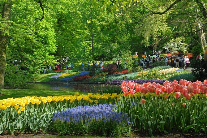 Keukenhof and Flower Fields Private Tour from Amsterdam - The Sum Up