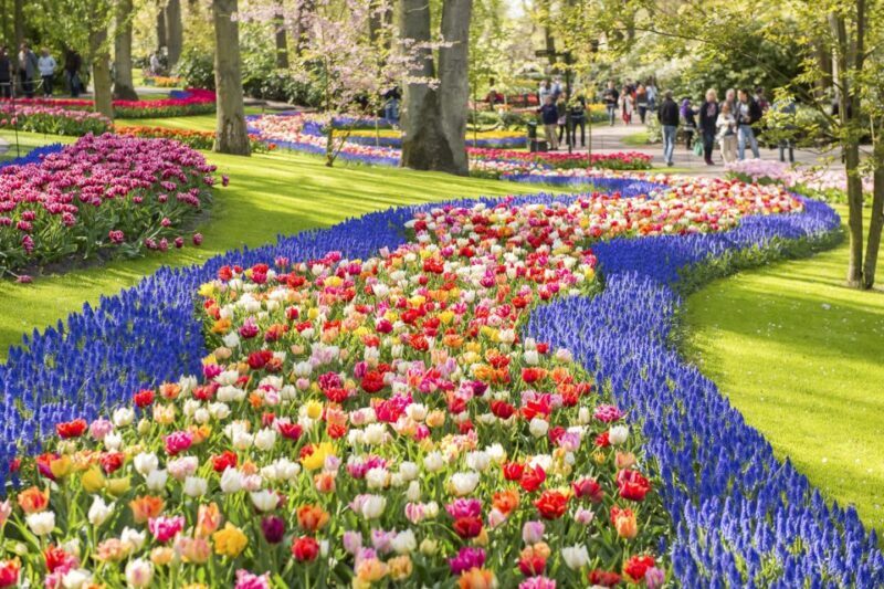 Keukenhof: Flower Fields Small-Group Cultural Bike Tour - FAQ