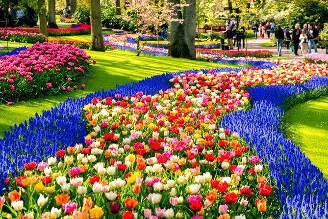 Keukenhof & FlowerFarm Tour From Amsterdam Skip-The-Line tickets - Pricing and Value: Is It Worth It?