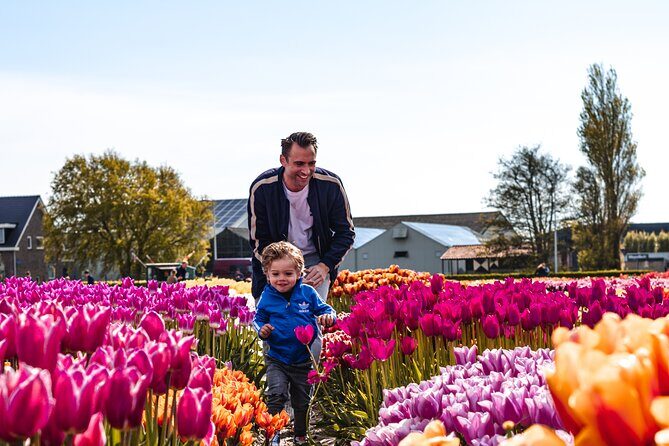 Keukenhof Gardens and Tulips Private Tour from Amsterdam - A Closer Look at What This Tour Offers