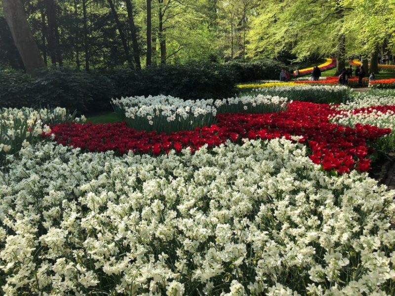 Keukenhof, Tulip Farm, Flower Fields & Windmills - Who Should Consider This Tour?