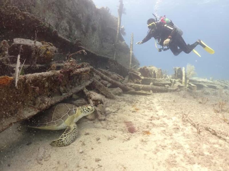 Key Largo: 2-Tank Shallow Reef Dive with Guide & Photos - Key Points