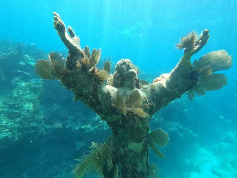 Key Largo: 2-Tank Shallow Reef Dive with Guide & Photos - Who Should Sign Up?