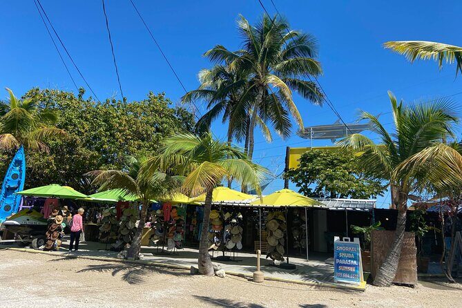 Key Largo and Islamorada Private Tour by Cabriolet Bus - Who Will Appreciate This Tour?