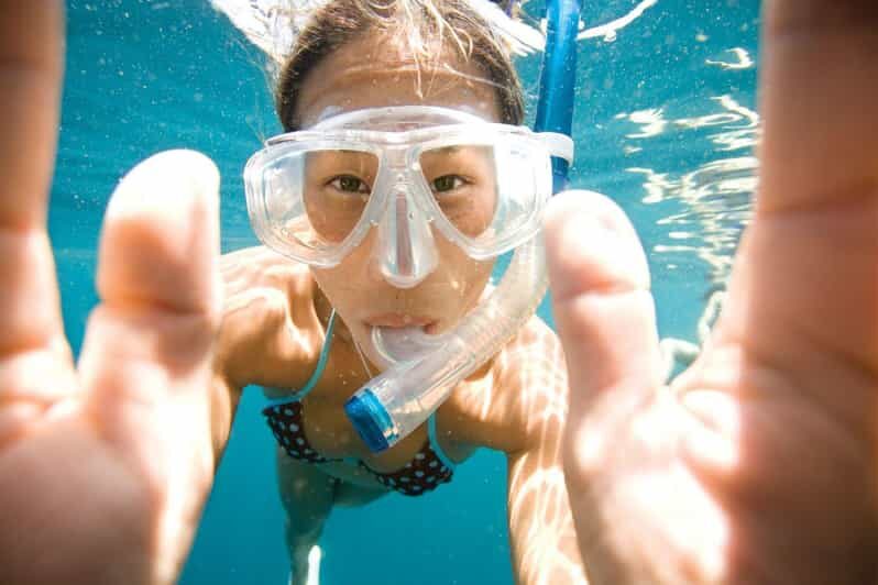 Key Largo: Molasses Reef Snorkeling Trip - Setting the Scene: What the Experience Offers