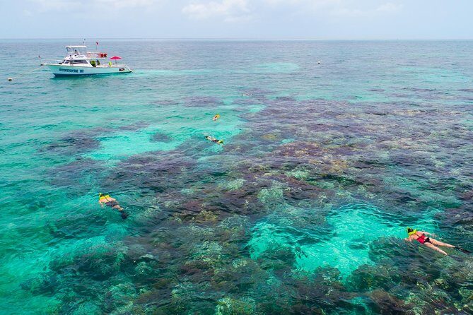 Key Largo Snorkeling Tour - rental mask, fins and vest INCLUDED - Key Points