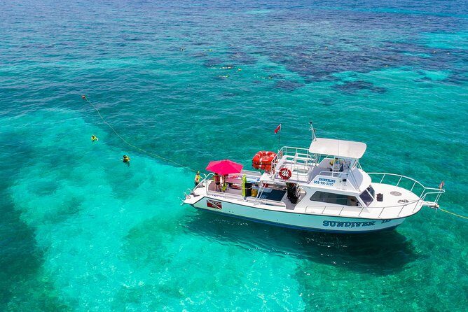 Key Largo Snorkeling Tour - rental mask, fins and vest INCLUDED - Who Will Love This Tour?