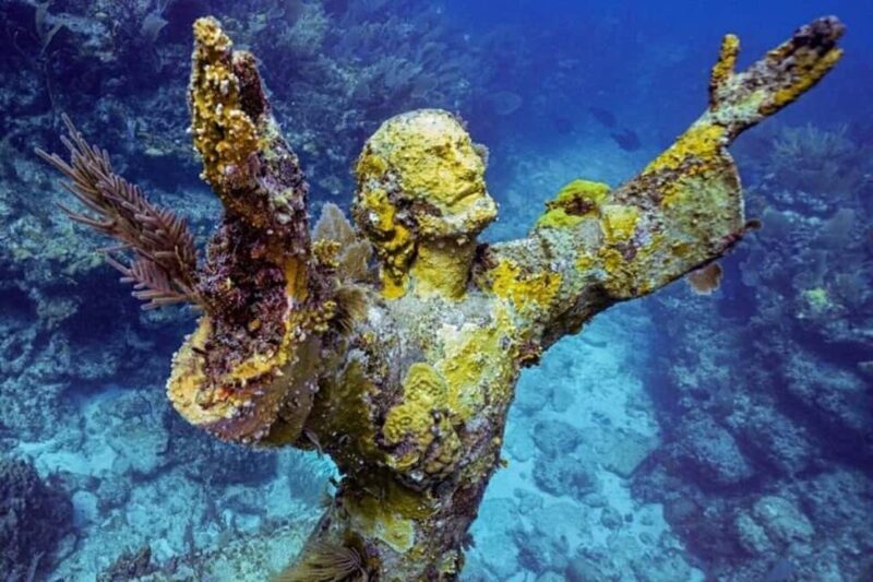 Key Largo: Snorkeling Trip - In-Depth Review: What Makes This Snorkeling Trip Stand Out