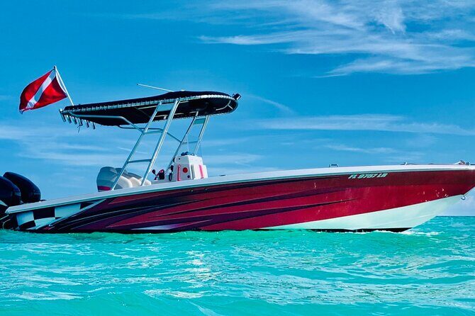 Key Largo Snorkeling Trips & Sandbar Tours - A Deep Dive into the Experience