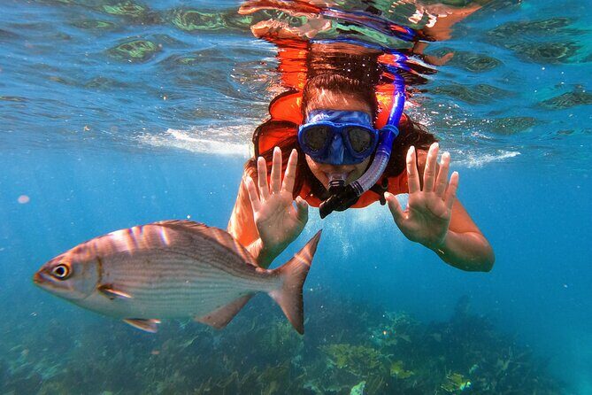 Key Largo Two Reef Snorkel Tour - All Snorkel Equipment Included! - Equipment and Comfort