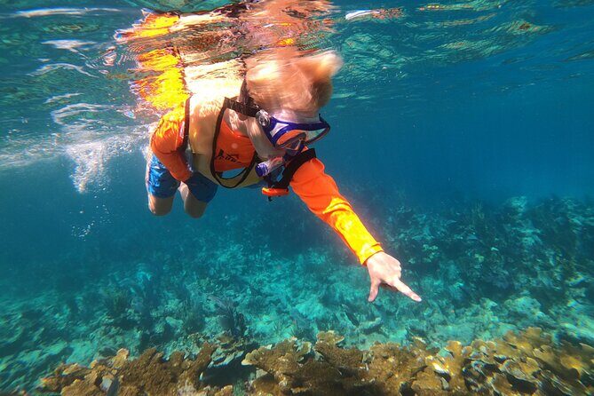 Key Largo Two Reef Snorkel Tour - All Snorkel Equipment Included! - Duration and Value