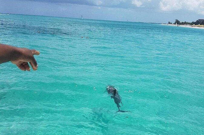 Key to the Sea Parasailing- Private Charter - Who Will Love This?