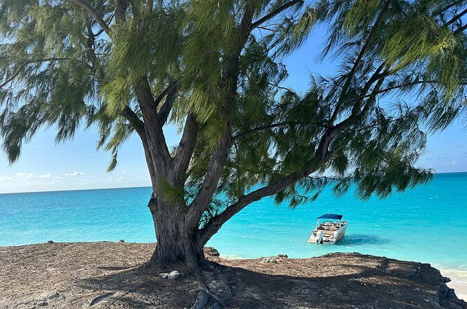 Key to the Sea Private Full Day Sun & Snorkel BBQ charter - Authentic Experiences and Critical Insights