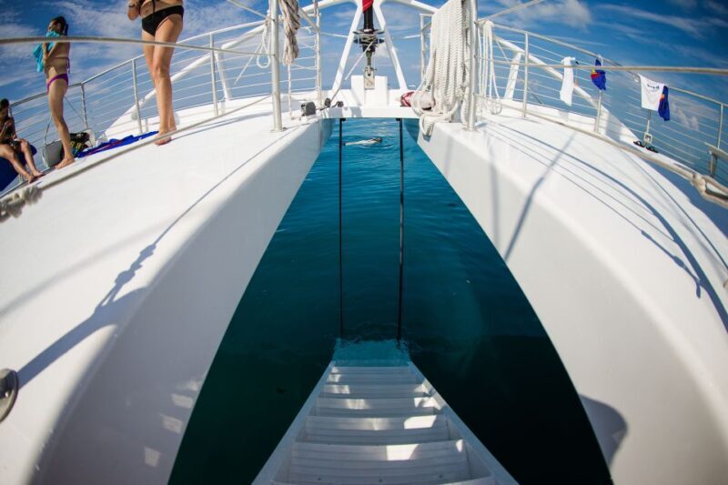 Key West: 2 Reef Snorkel With Sunset Cruise, Includes Drinks - Final Words