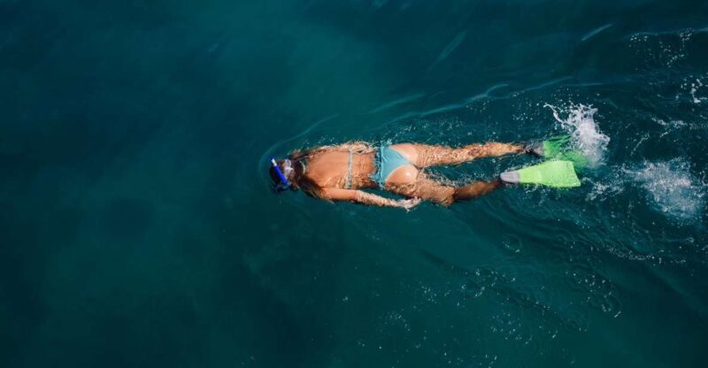 Key West: 3-Hour Afternoon Reef Snorkel with Drinks - Who Should Consider This Tour?