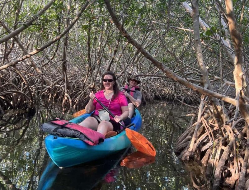 Key West: 3-hour Mangrove Kayak Tour - What to Expect on the Tour
