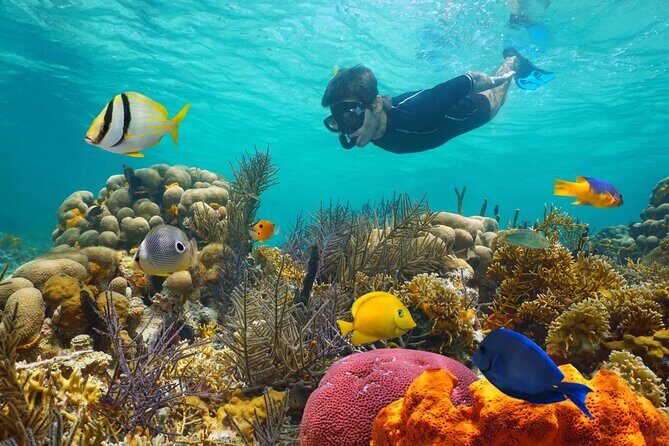 Key West: 3hr Snorkeling Experience with Unlimited Drinks - Setting Sail on a Snorkeling Adventure in Key West