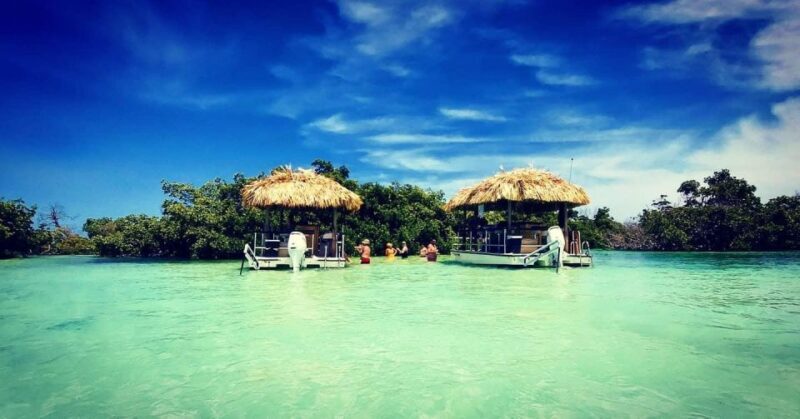 Key West: 4-Hour Private Sandbar Cruise on a Tiki Bar Boat - Key Points