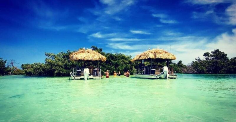 Key West: 4-Hour Private Sandbar Cruise on a Tiki Bar Boat - A Closer Look at the Reviews