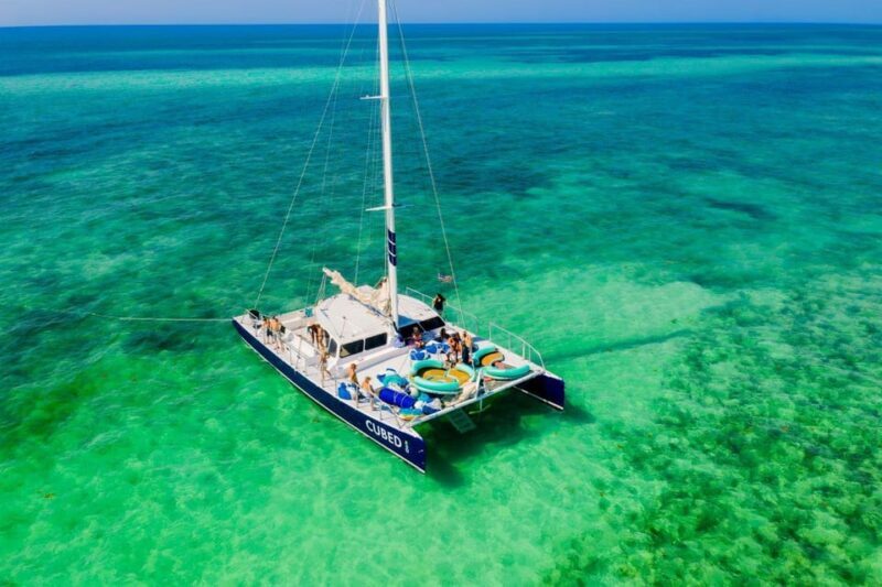 Key West: Afternoon Catamaran Sail and Dolphin Watch - A Closer Look at the Experience