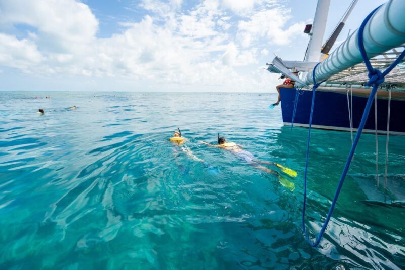 Key West: Afternoon Reef Snorkel Tour with Open Bar - What to Expect on Your Snorkel Tour