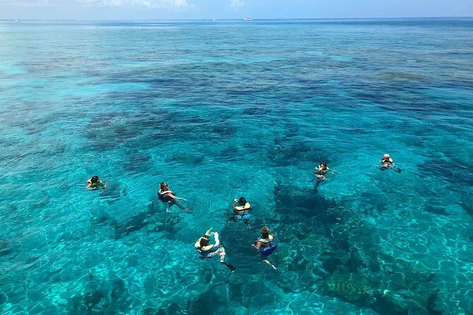 Key West Afternoon Reef Snorkeling with Open Bar - Practicalities & Tips
