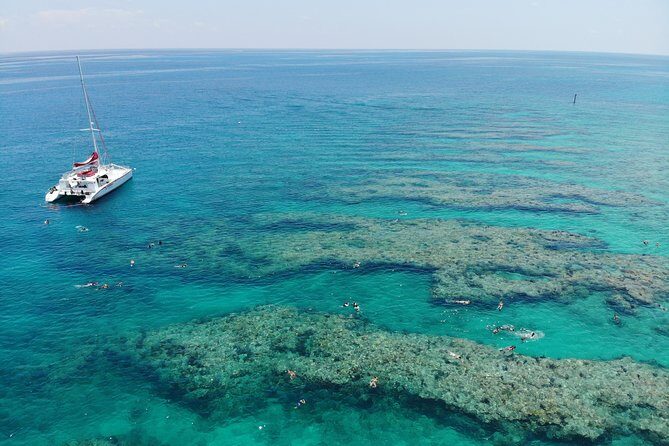 Key West Afternoon Reef Snorkeling with Open Bar - Review Highlights & Authentic Opinions