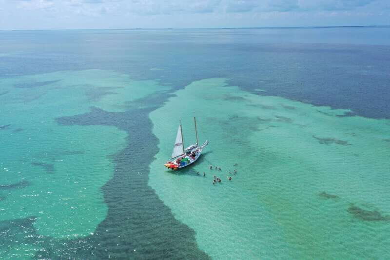 Key West Afternoon Sail, Snorkel, Kayak & Sunset Excursion - Why This Tour Is Worth Considering