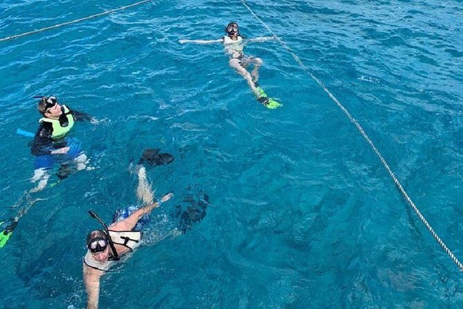 Key West Afternoon Snorkel Sail with Unlimited Cocktails! - Final Thoughts: Is This Tour For You?